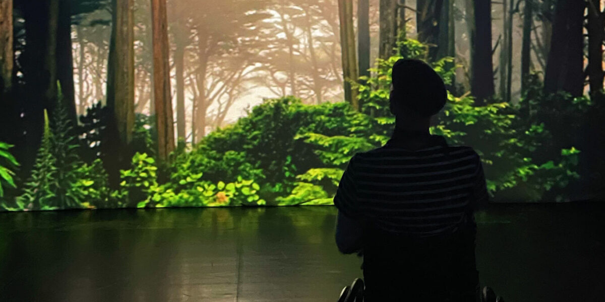 Meet the Maker - Marc Brew | Dublin Dance Festival